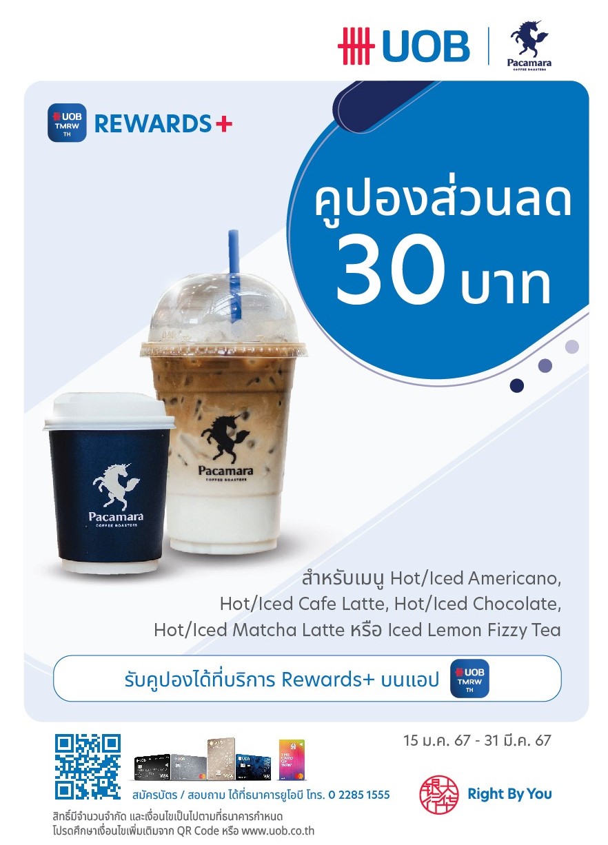 15 / 01 / 2024 - 31 / 03 / 2024